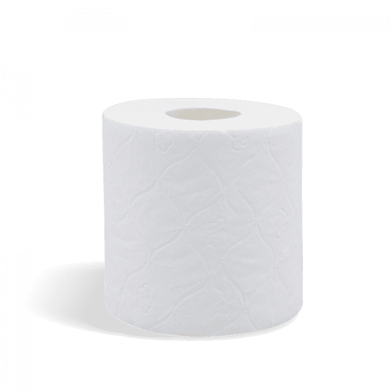 Toilet Paper Tissue Roll 2 Ply 48 Rolls | Bulk Buys